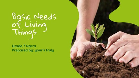 Living Things and the Environment.pptx Grade 3 Science | PPT