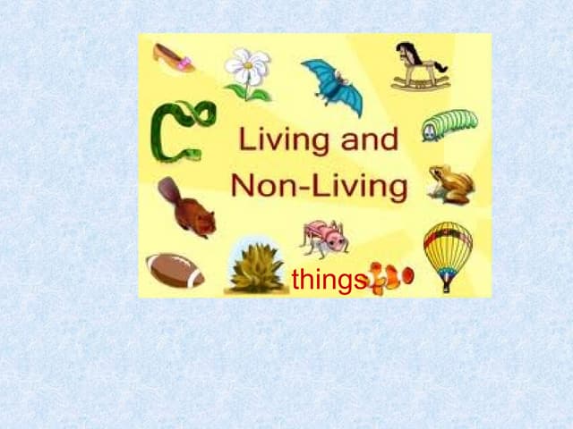 Animals third grade | PPTX