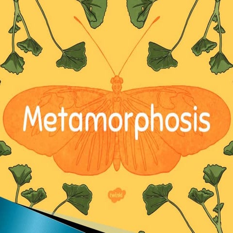 Living things (2) Metamorphosis | PPT