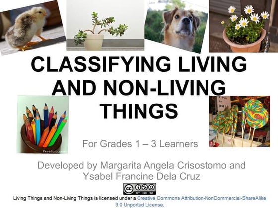 Living and Non-Living Things Science for Grade 2 | PPTX | Biological ...