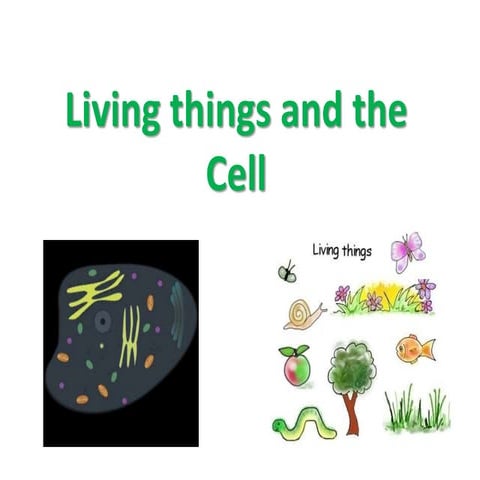 Living things and the cell | PPTX