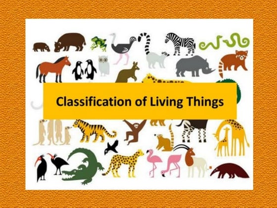 Classifying animals according to the food they eat | PPTX