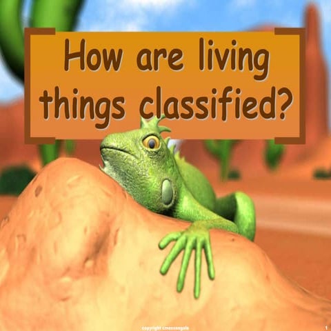 The organisation of living things and kingdoms | ODP