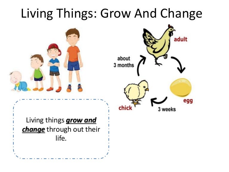 Living things grow and change