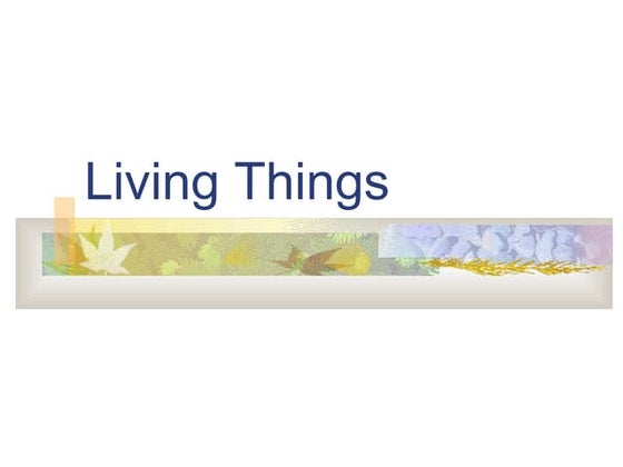 Mrs gren and kingdoms | PPT