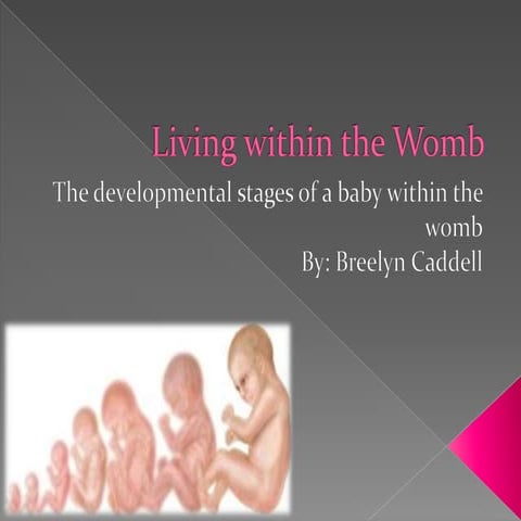 Fetal development during pregnancy | DOC