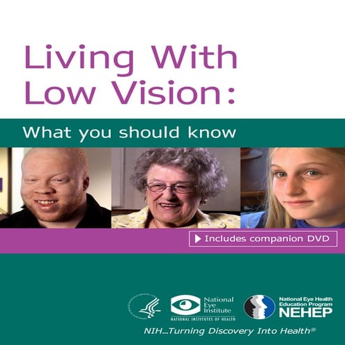 Low Vision Conference Presentation | PPTX