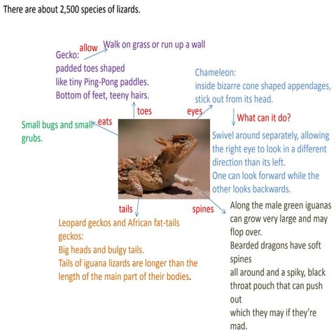 Lizard. assignment #3. | PPTX | Reptiles | Pets