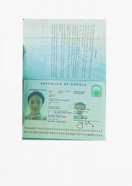 ID CARD INES DADOS PESSOAIS MODELO ANGOLANO | PDF