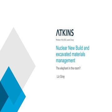 Liz Gray, Atkins | PPT