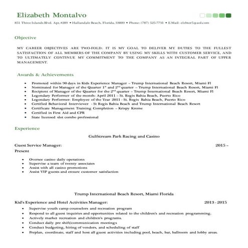Prof. Resume Spa Director | DOC