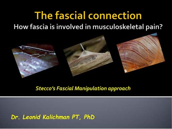 Lesson 6 (Other Tissues and Motor Unit).pptx