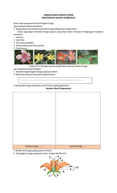 SOAL EVALUASI MATERI SISTEM PERKEMBANG BIAKAN TUMBUHAN.docx