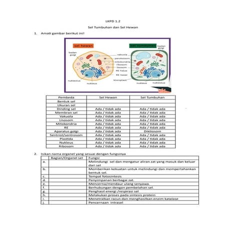 LKPD 1.2 Perbedaan sel tumbuhan dan sel hewan.pdf