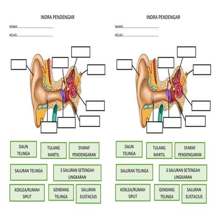 LKPD INDRA PENDENGAR.docx