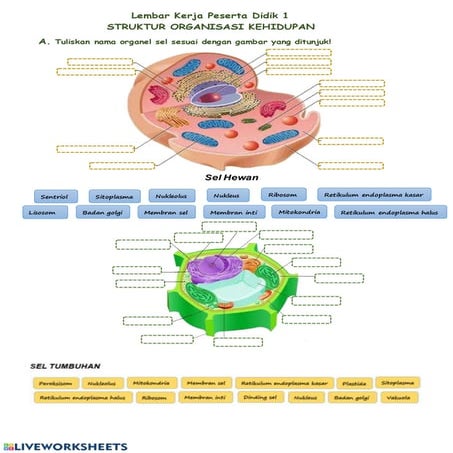 Lkpd sel unit kehidupan | DOCX