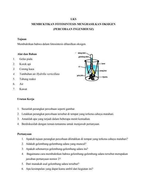 Amali wajib biologi kssm tingkatan 5 | PPT