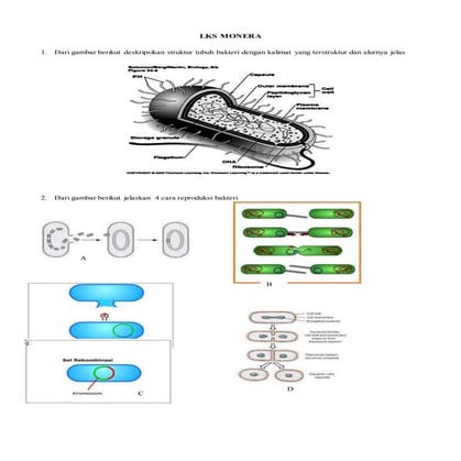 Lks Peranan Monera | DOCX
