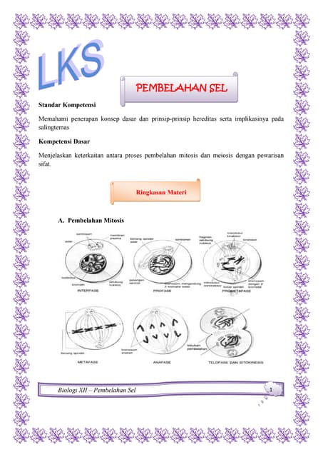 Gambar dan tahap pembelahan sel | PDF