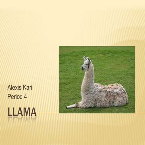 Llama | PPTX