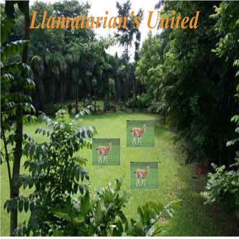 Llama Power Point | PPT