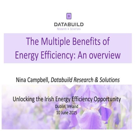 The Multiple Benefits of Energy Efficiency: An overview - Nina Campbell ...