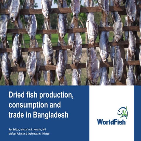 Dried Fish Production, Consumption and Trade in Bangladesh. By Ben ...