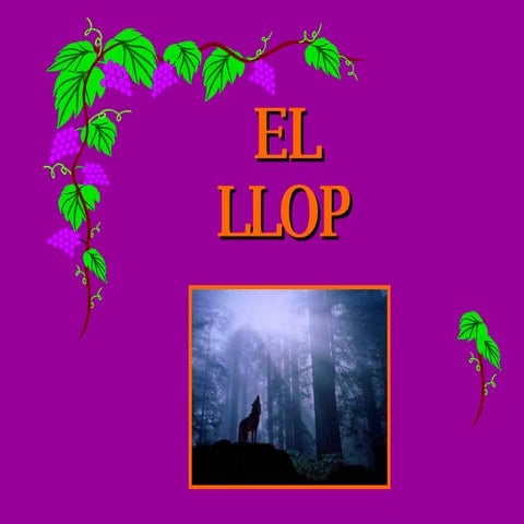 Llop | PPT