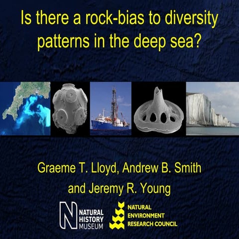 Is there a rock-bias to diversity patterns in the deep sea? | PPT