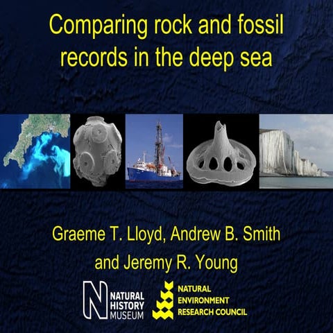 Comparing rock and fossil records in the deep sea | PPT