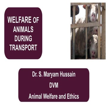 Animal Welfare and Ethics by Dr. Zia Ur Rehman | PPT