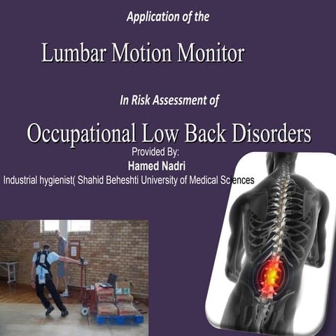 Lumbar Motion Monitor | PPT