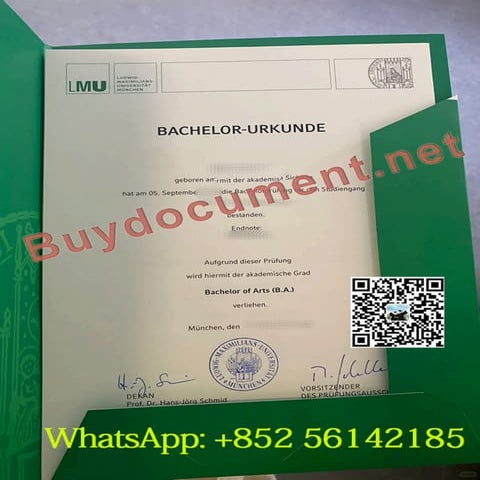 LMU Munich diploma. University of Munich Urkunde. | PDF