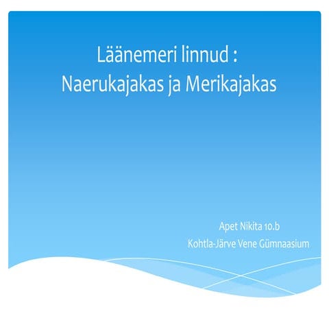 Läänemeri linnud | PPTX