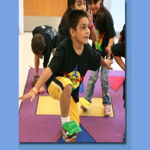 Lnp slide show | PDF