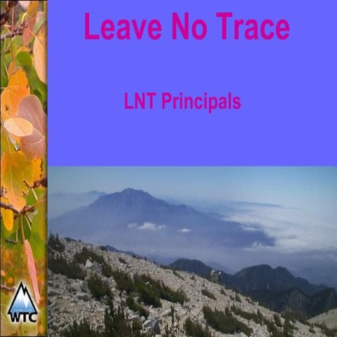 Lnt short version | PPT