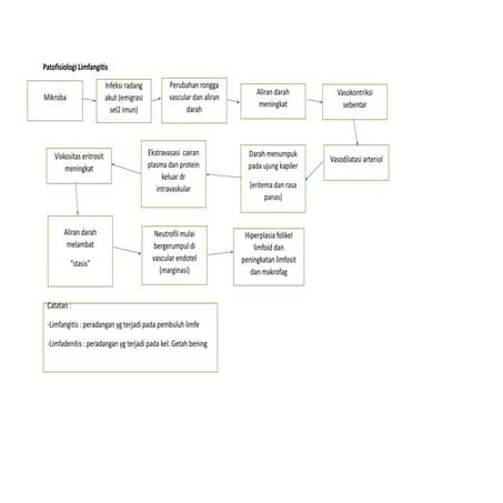 LO 5_Tromboflembitis dan Limfangitis.docx.pdf