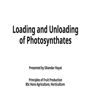 Loading and Unloading of Photosynthates by Sikandar Hayat.pptx