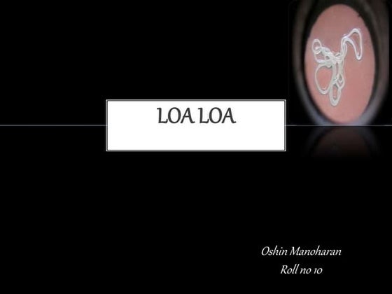 Loa loa | PPT
