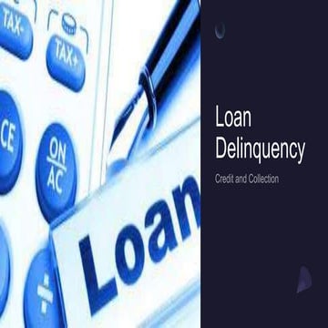 Loan Delinquency Report.pptx