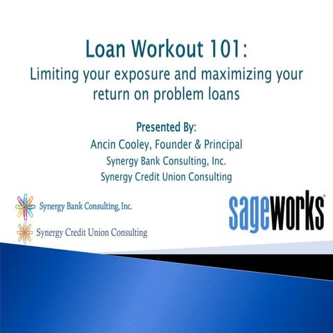Loan Workout 101 for Financial Institutions | PDF