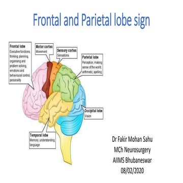Frontal and Parietal Lobe sign | PPTX