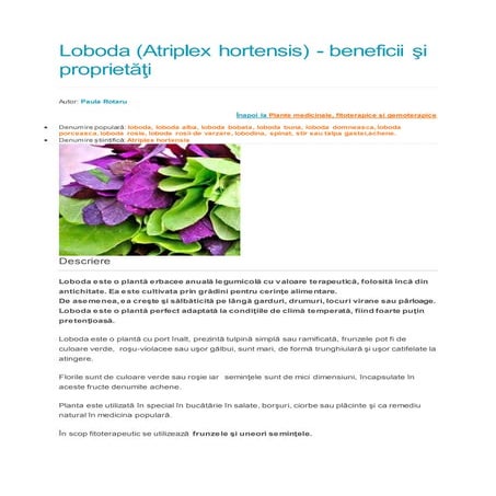 Loboda | DOCX