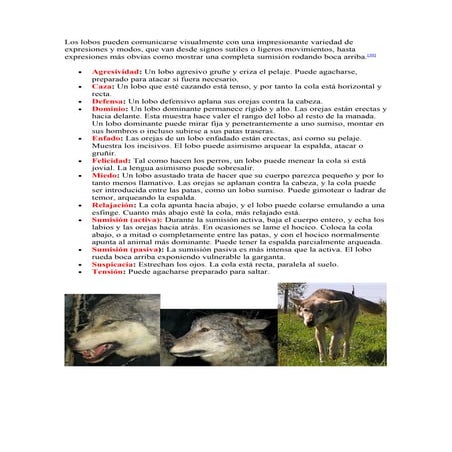 Lobos | DOC | Dogs | Pets