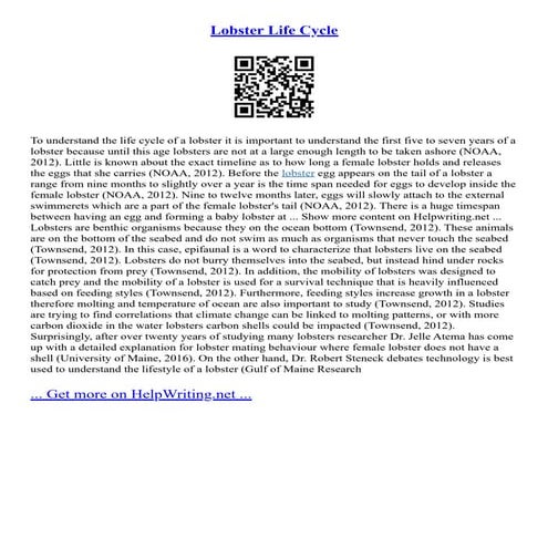 Lobster Life Cycle | PDF
