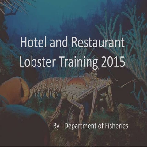 Lobster training 2015 | PPTX