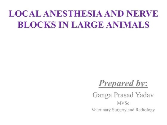 Muscles Of Fore Limb Of Cattle | PPT