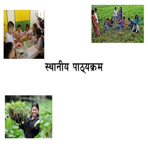 Local curriculum 0 | PDF