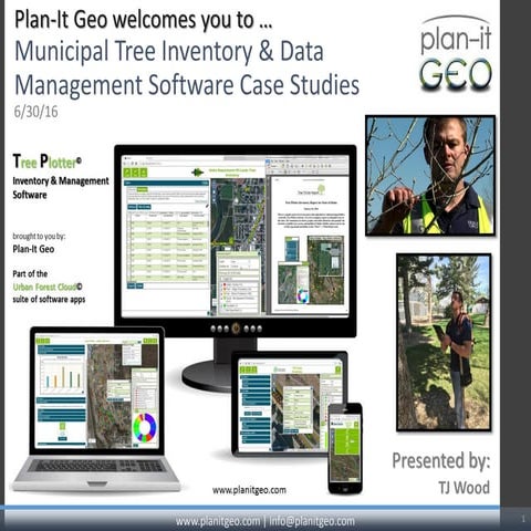 government tree inventory software, work order, and data management ...