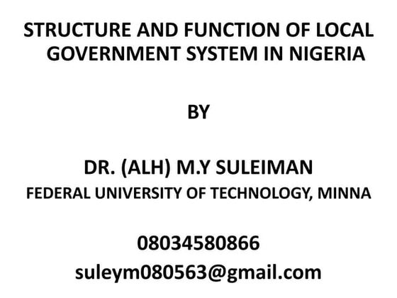 Local Chief Executives | PPTX | Law